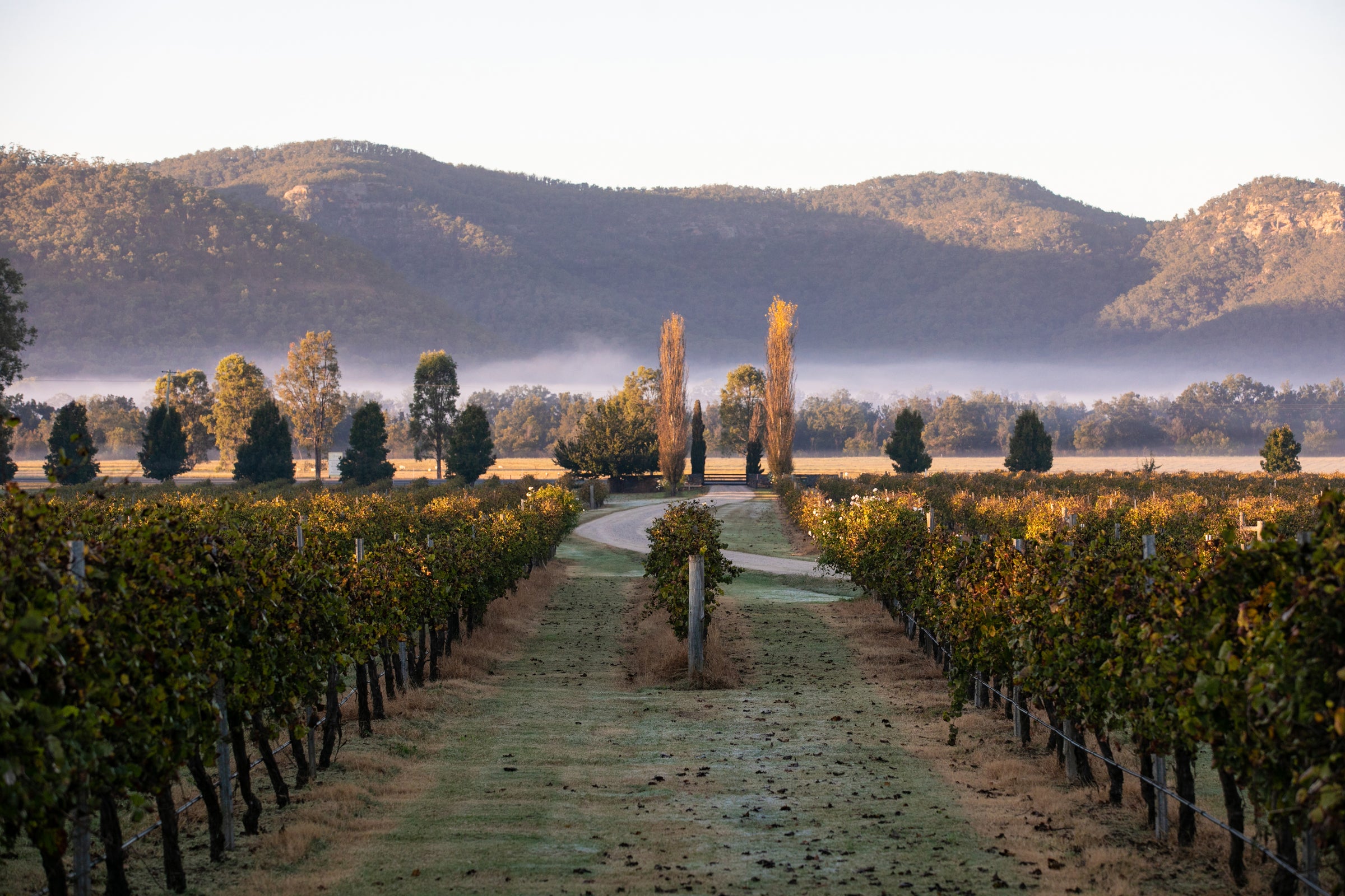 About | 1813 Wine